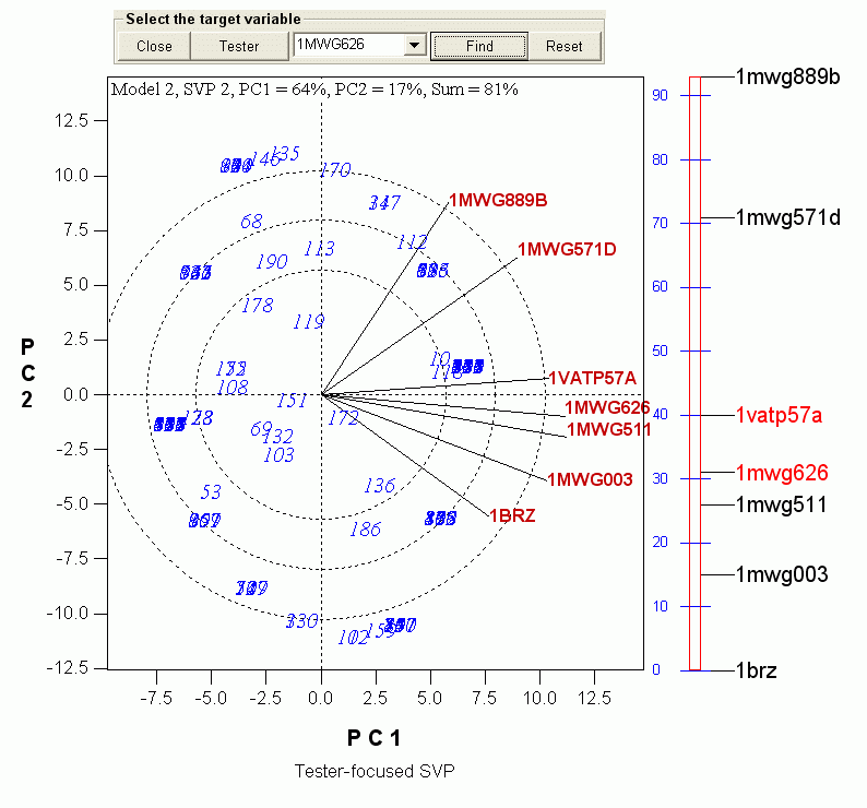 Linear map among markers